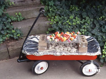 Improvised Grills... Create Your Own Grill for Great Fun - Dian Thomas