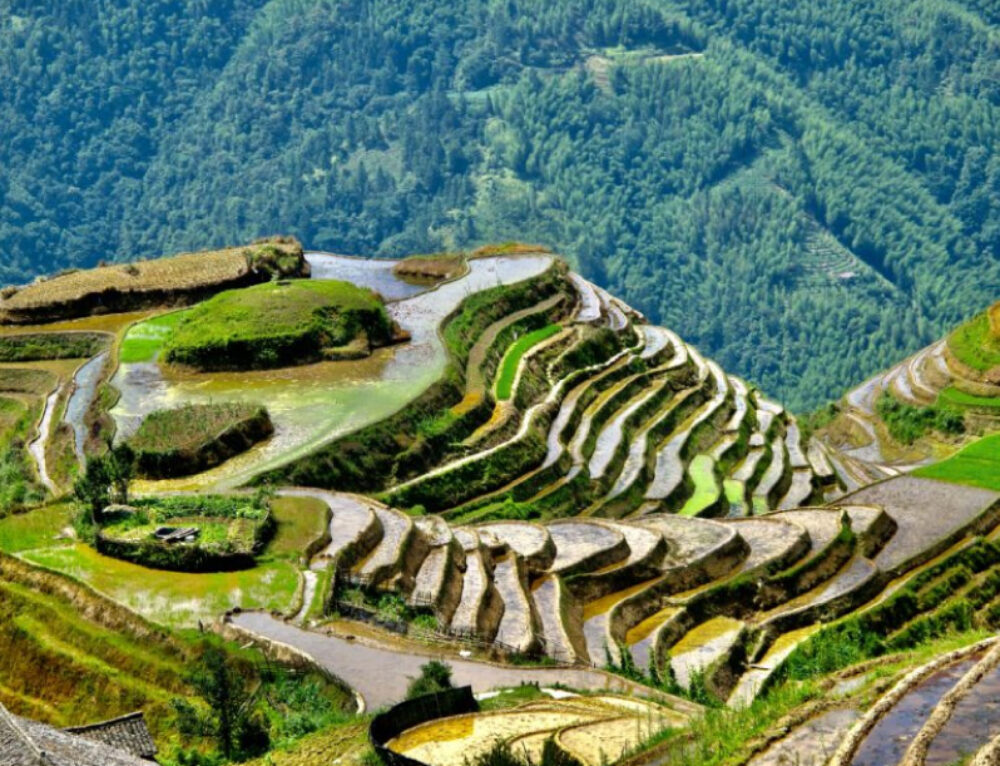 10 Key Insights Into Traditional Chinese Food Culture - Dian Thomas